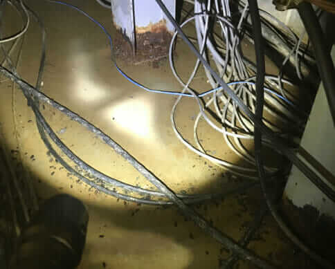 Goodyear Rodent Droppings Services - Bio-One of Goodyear, AZ - 623-606-9873